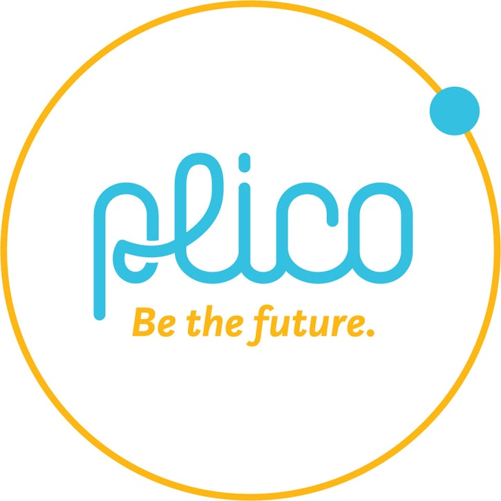 Solar Inverters and Battery Storage: A Complete Guide | Plico Energy