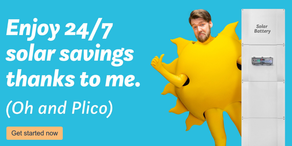 Are Solar Batteries Worth It? | Plico Energy