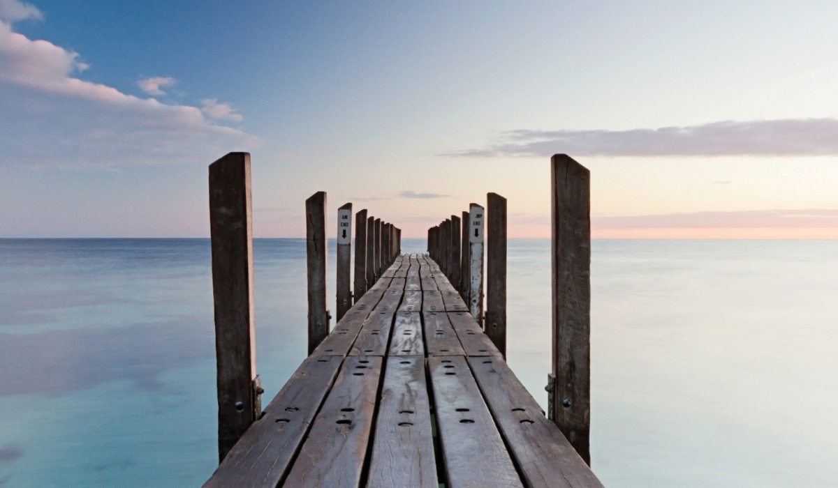 Plico Community Success: DCEP Annual Report 2020-21 | Plico